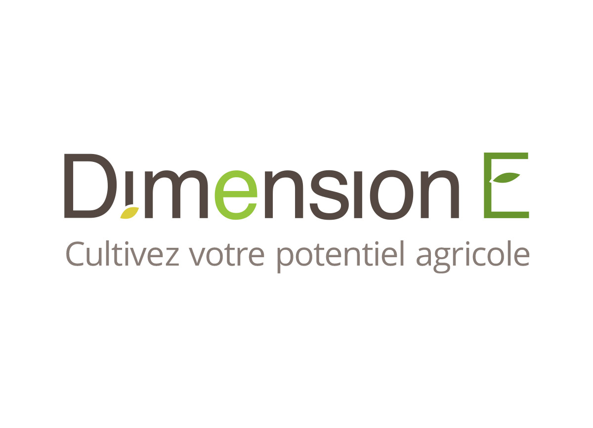 DimensionE-Logo - C4 COMMUNICATIONS